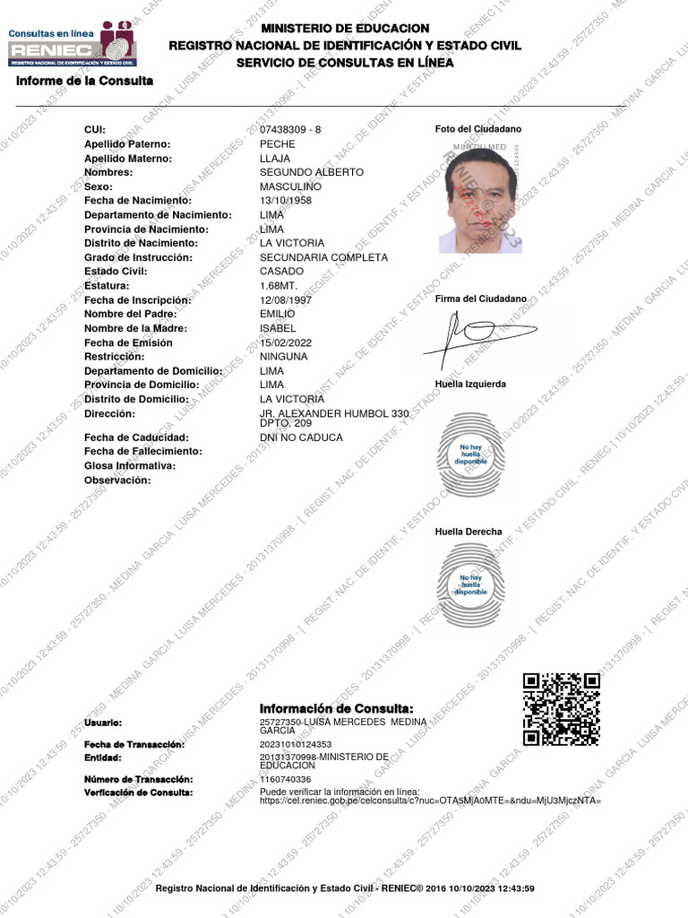 Plan D | PDF | Gobierno y personalidad