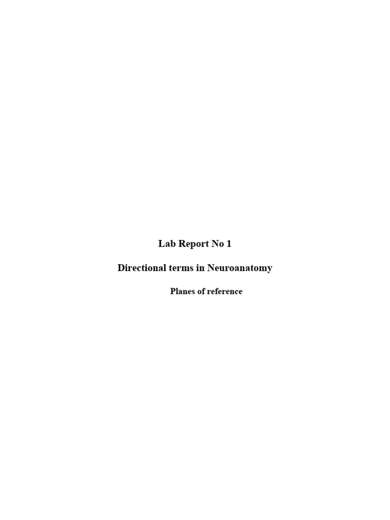 BNS Lab Reports 2020 | PDF