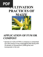 Crop Growth Chart - Maize: Stage VE V2 V5 V8 V12 V16 R1 R5 | PDF