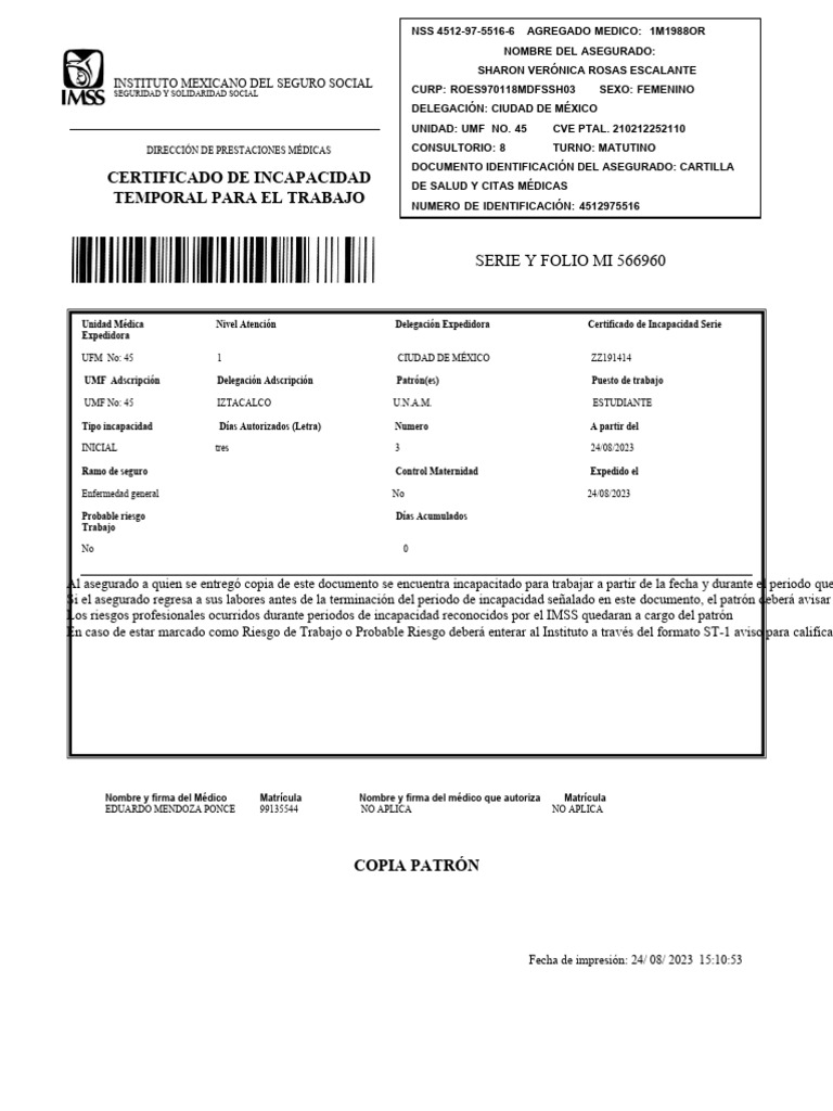 Formato Incapacidad Imss Editable Word | PDF