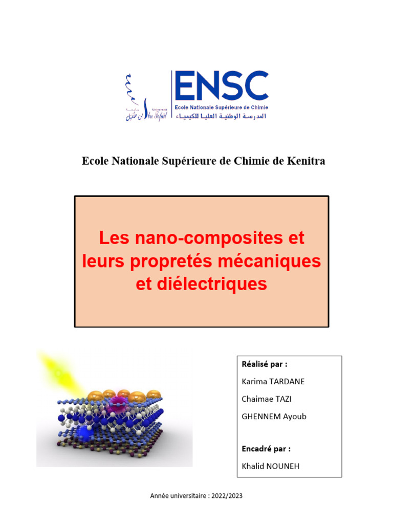 Rapport Nanocomposite | PDF | Ordinateurs