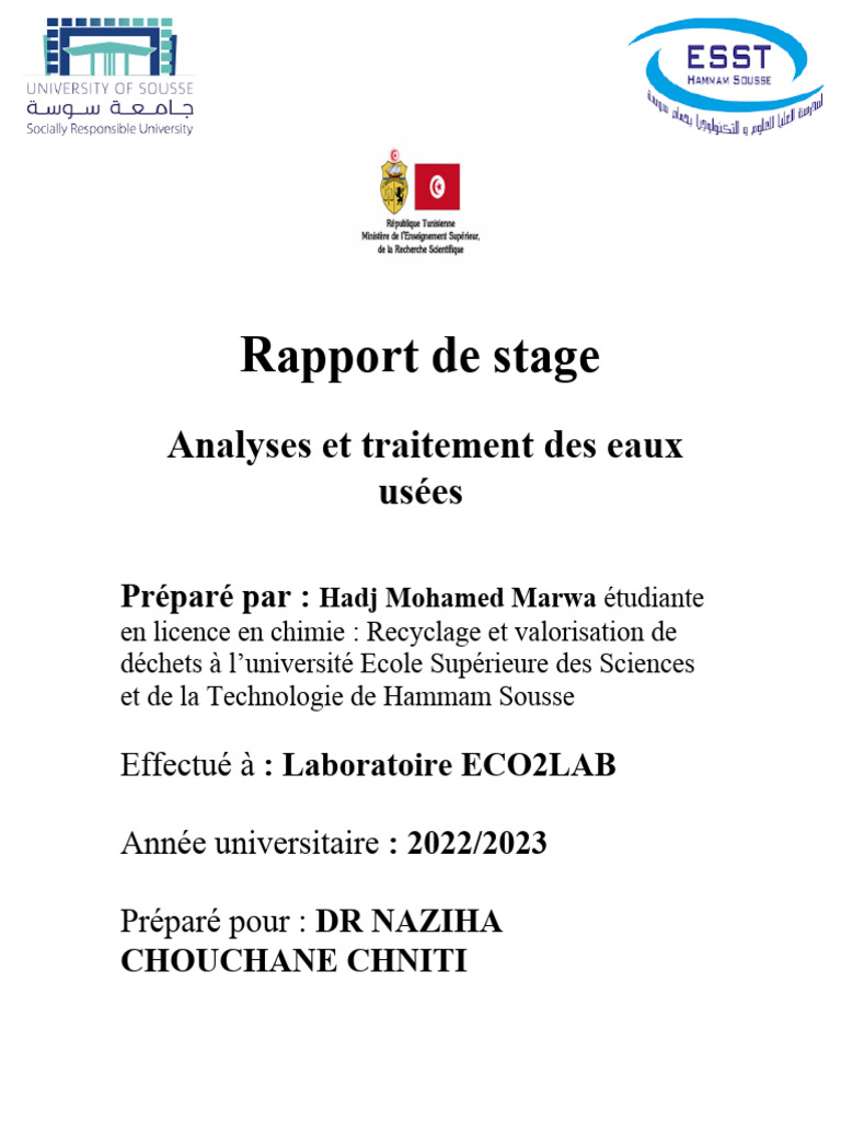 Rapport | PDF