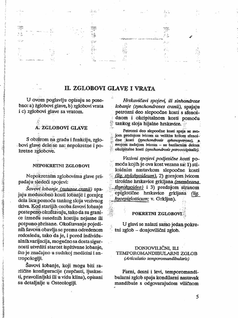 Glava | PDF
