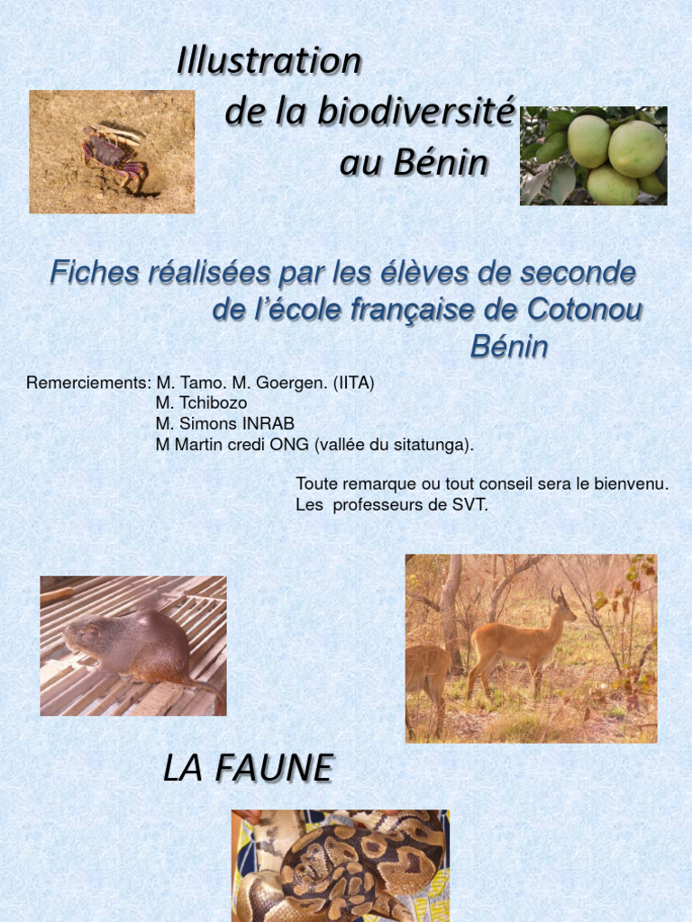 Biodiversité au Bénin : Faune et Flore | PDF | Maison et jardin | Sciences et mathématiques