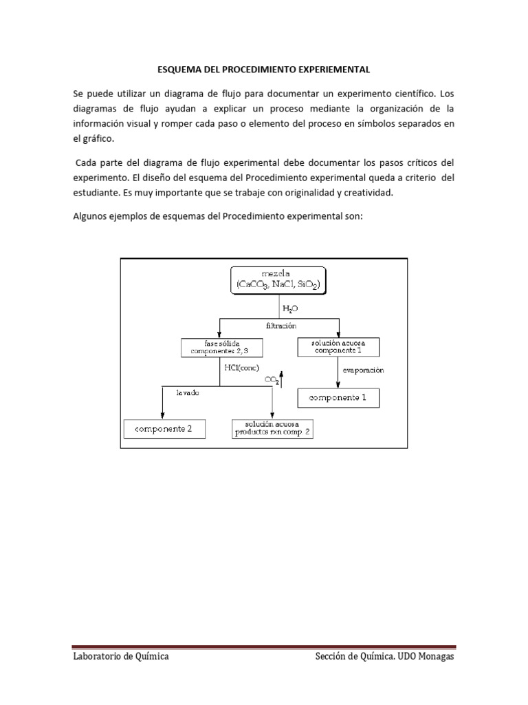 Ejemplos de ESQUEMAS | PDF