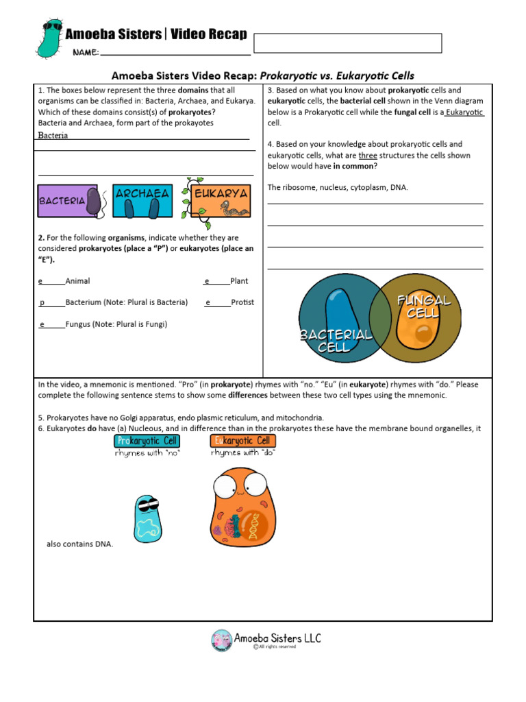 Prokaryotic vs. Eukaryotic Cells Explained | PDF | Cell (Biology ...