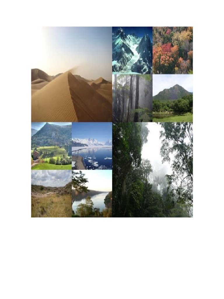 Collage de Tipos de Climas | PDF