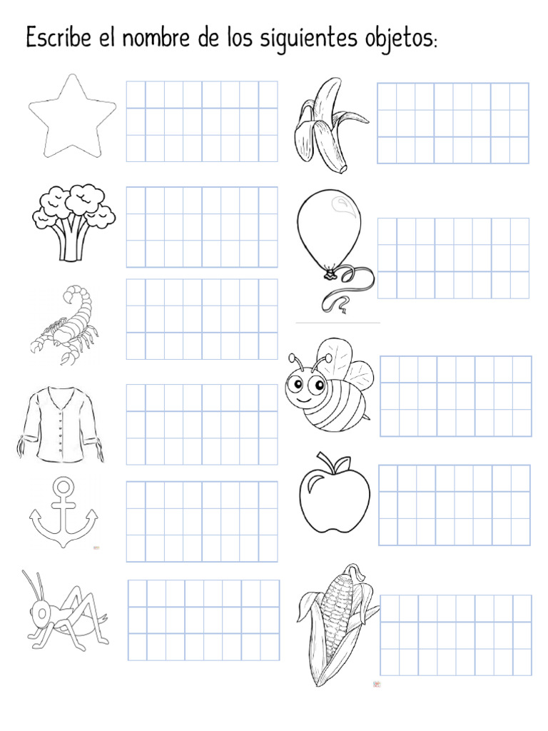 Nombres de Objetos | PDF