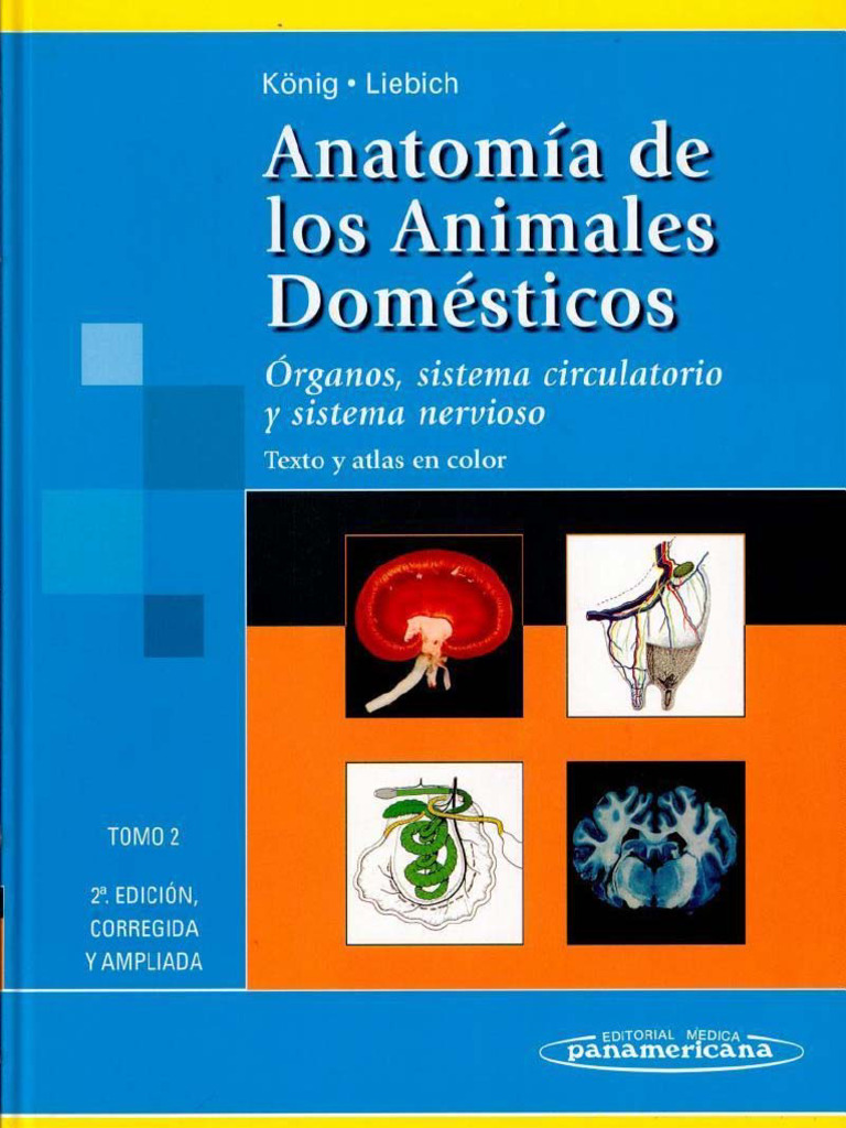 Anatomia-De-Los-Animales-Domesticos-Tomo-Ii-Pdf Editado | PDF