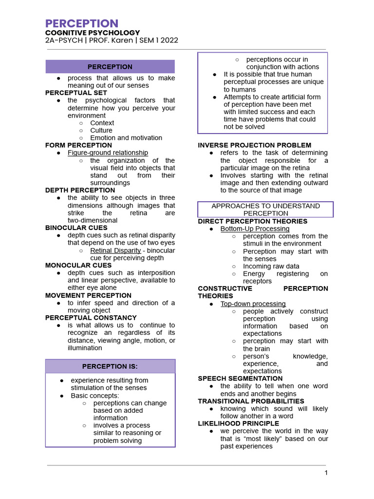 Chapter 3 - Perception | PDF | Perception | Theory Of Mind