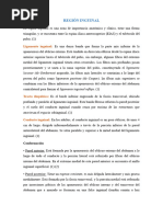 Que Es La Ingle | PDF | Estudios de idiomas extranjeros | Salud y bienestar
