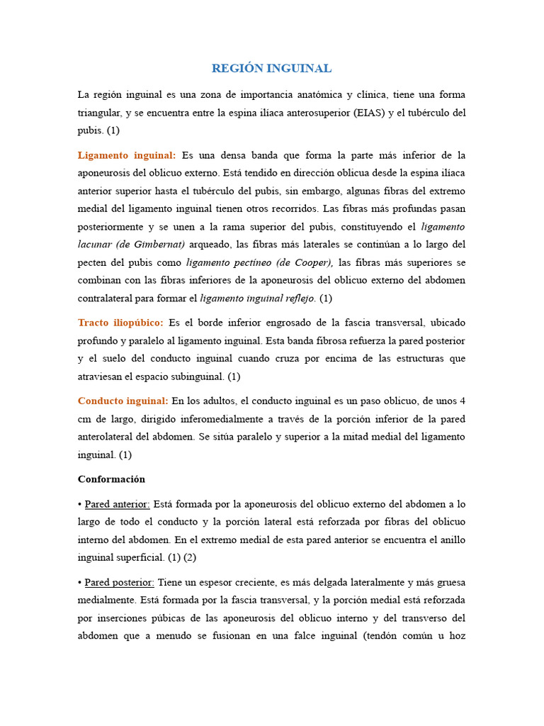 Anatomía y Función de la Región Inguinal | PDF | Abdomen | Anatomía humana