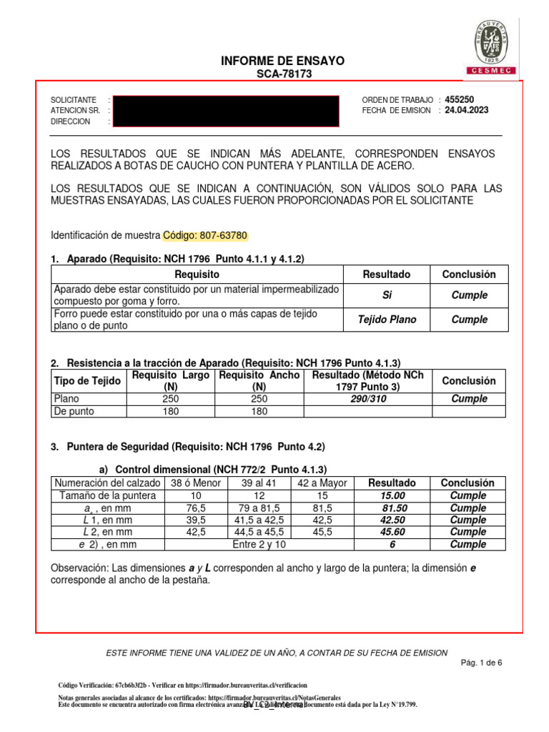 Informe CESMEC Bota Minero SCA-78173 | PDF