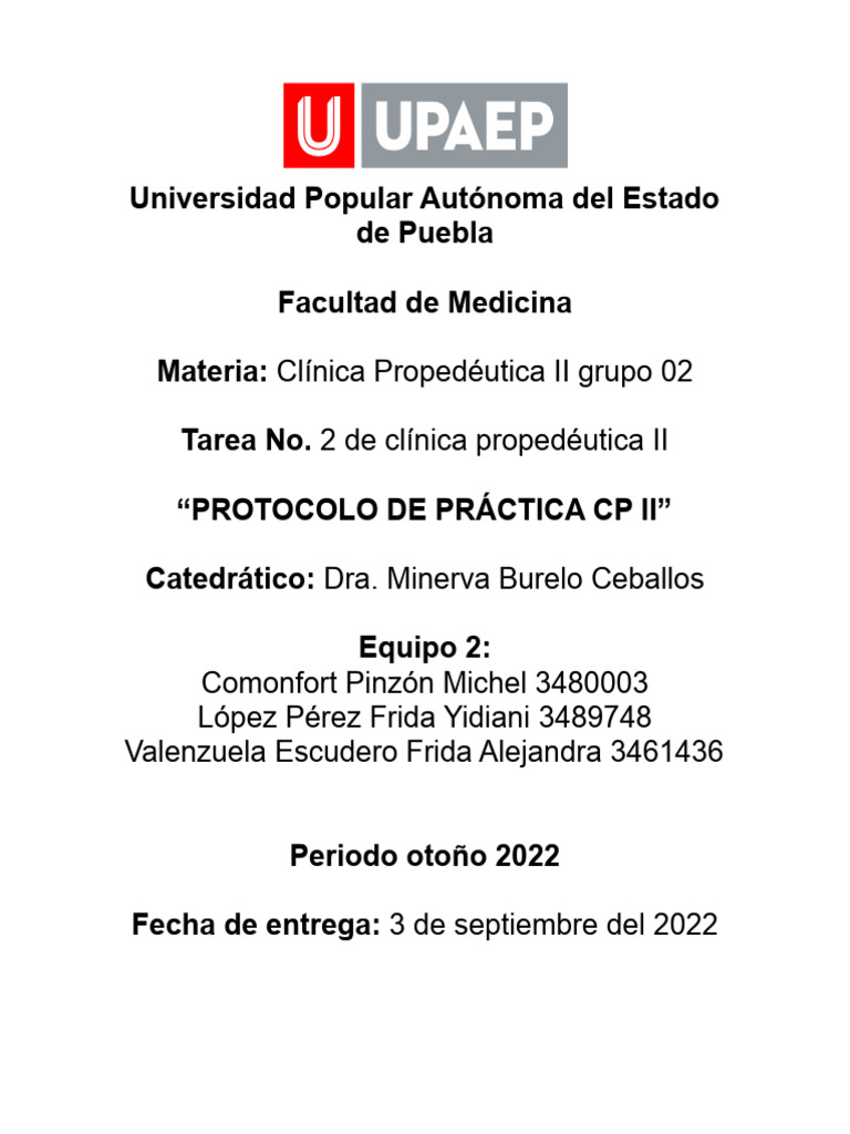 PROTOCOLO DE PRACTICA CP II-Equipo 2 | PDF