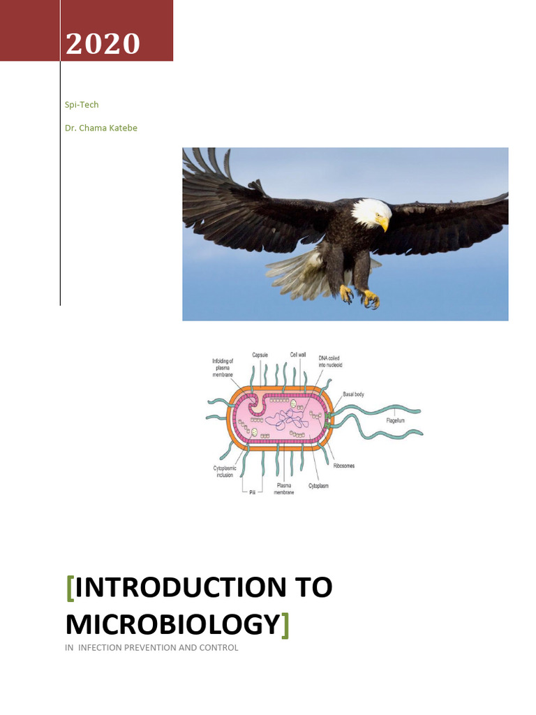Introduction To Microbiology For Ipc 1 Pdf Cell Biology Microscope