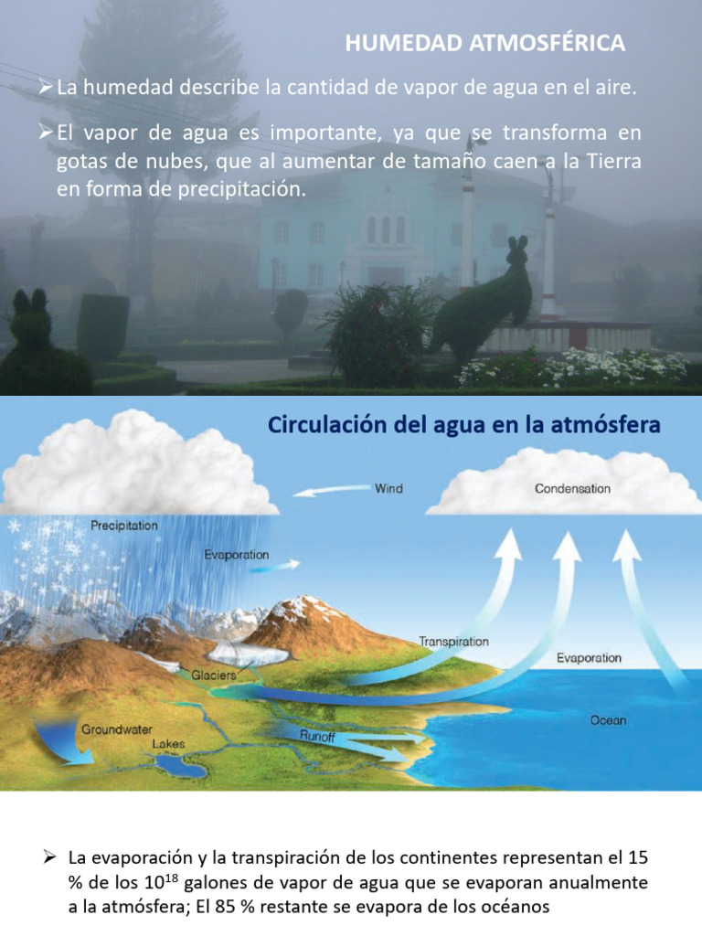 Humedad Atmosferica | PDF