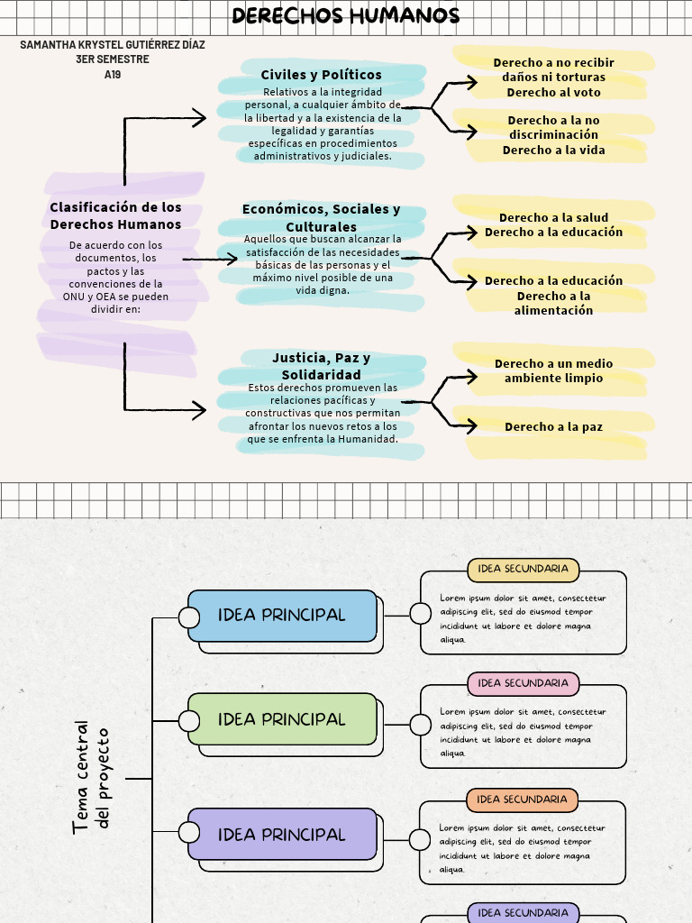 Clasificación de los Derechos Humanos | PDF