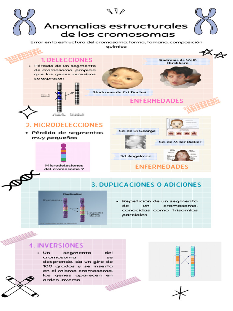 Infografía Anomalías Estructurales de Los Cromosomas | PDF | Cromosoma | Genética
