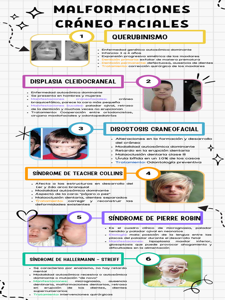 Infografía Malformaciones Cráneofaciales | PDF | Enfermedades y trastornos | Especialidades Medicas