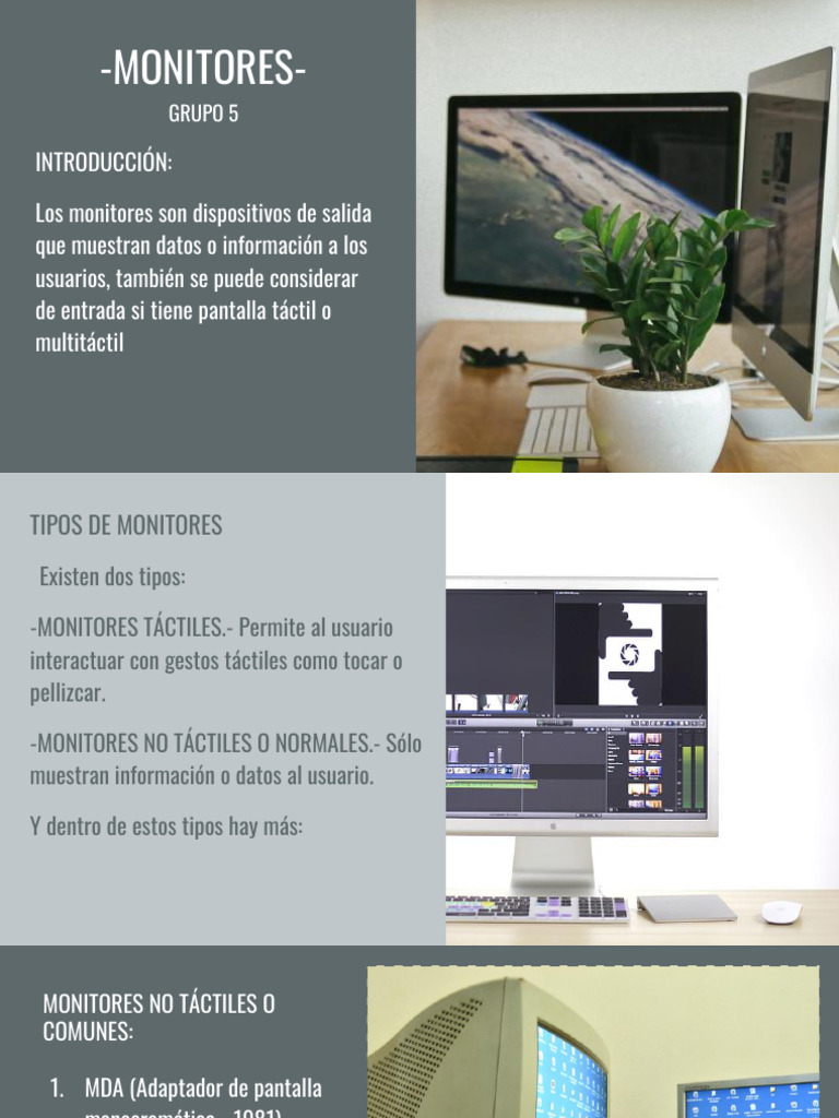 MONITORES EXPOSICION DE INFORMATICA | PDF