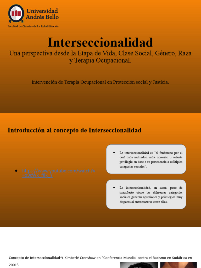 Interseccionalidad | PDF