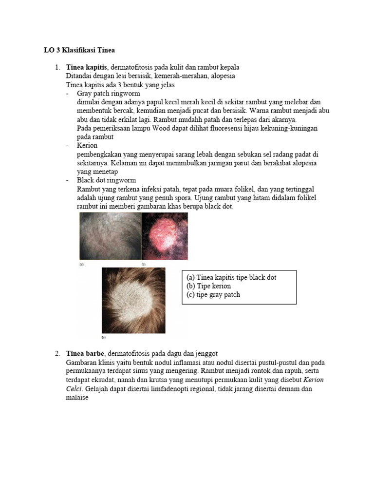 LO 3 Klasifikasi Tinea | PDF
