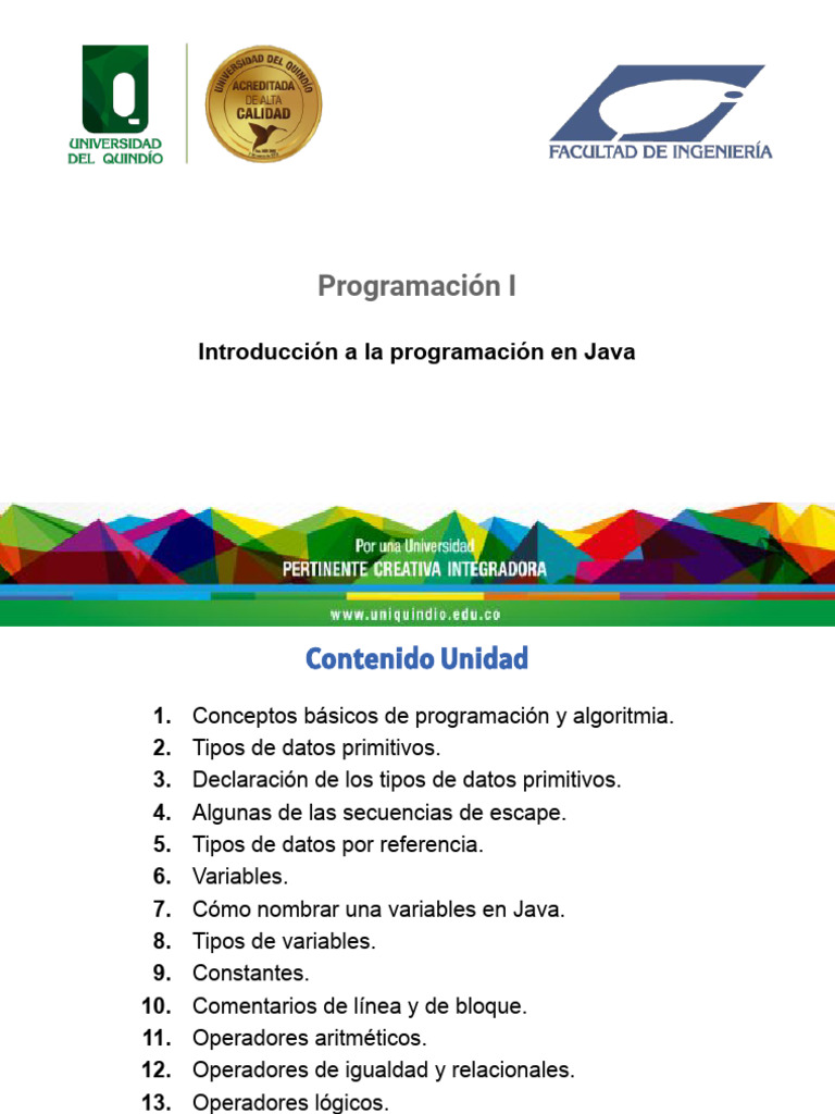Introducción a la Programación en Java | PDF | Algoritmos | Tipo de datos