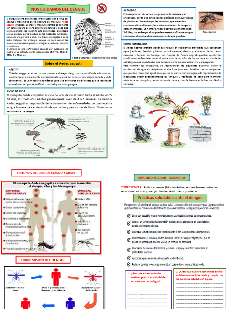 Semana 29-Explica - Ficha Informativa - Nos Cuidamos Del Dengue | PDF ...