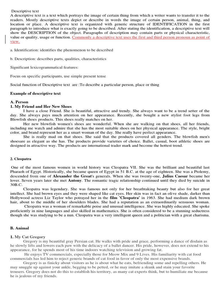 Descriptive Text (Complete) | PDF