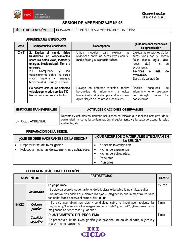 SESION DE APRENDIZAJE N°05 - CyT | PDF