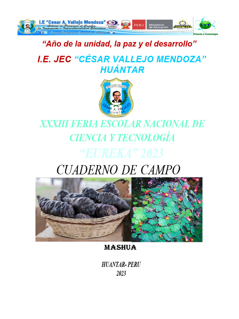 CUADERNO DE CAMPO EUREKA MASHUA (3) | PDF | Cuestionario | Metodología de encuesta