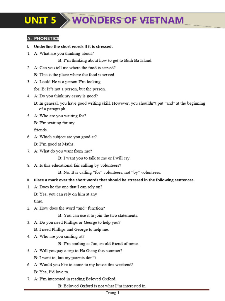 Vietnam Wonders: Language & Culture | PDF