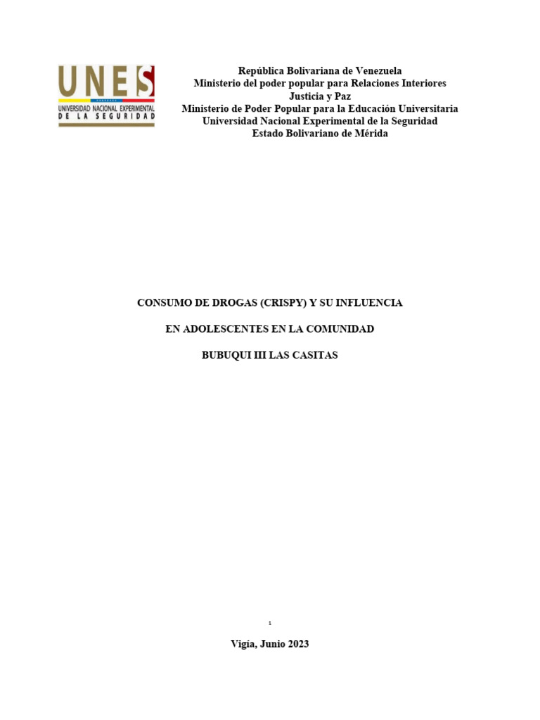 Proyecto socio integrador Unes | PDF