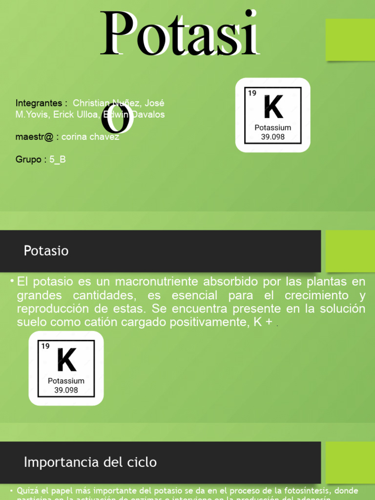 Potasio 2 Pdf Suelo Nutrientes