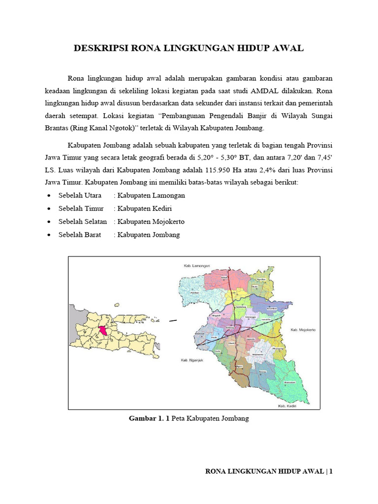 Rona Lingkungan Hidup Awal | PDF