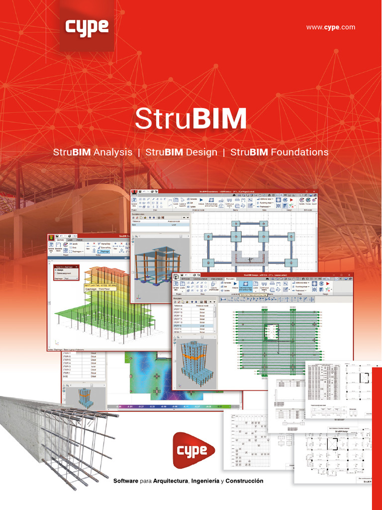 Esp Cype Strubim | PDF