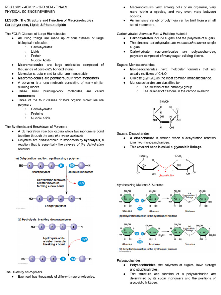 Macromolecules: Structure & Function Guide | PDF | Lipid | Carbohydrates