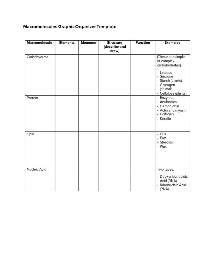 Chapter 3 Class Activity - Macromolecules Graphic Organizer Template | PDF