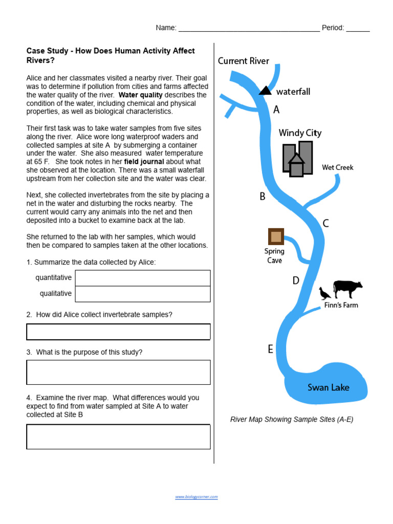 Case Study - How Does Human Activity Affect Rivers? | PDF | Water | Oxygen