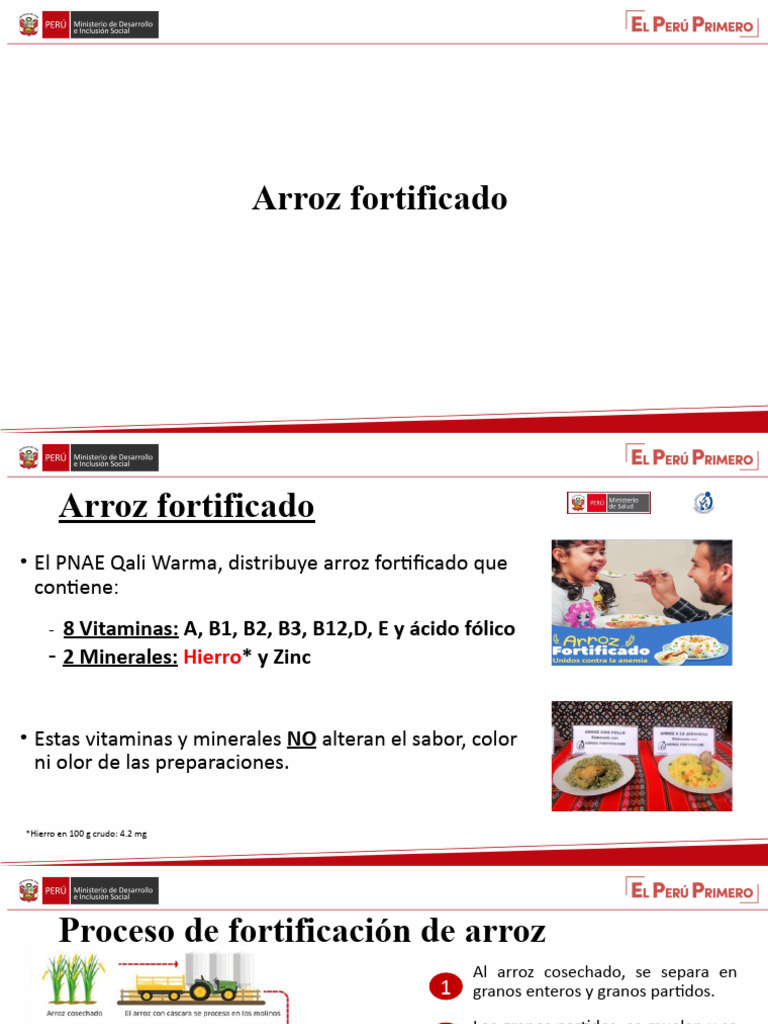 Arroz Fortificado: Beneficios y Proceso | PDF