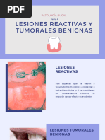 Nomenclatura Dentaria - El Código Internacional (FDI) | PDF | Diente ...