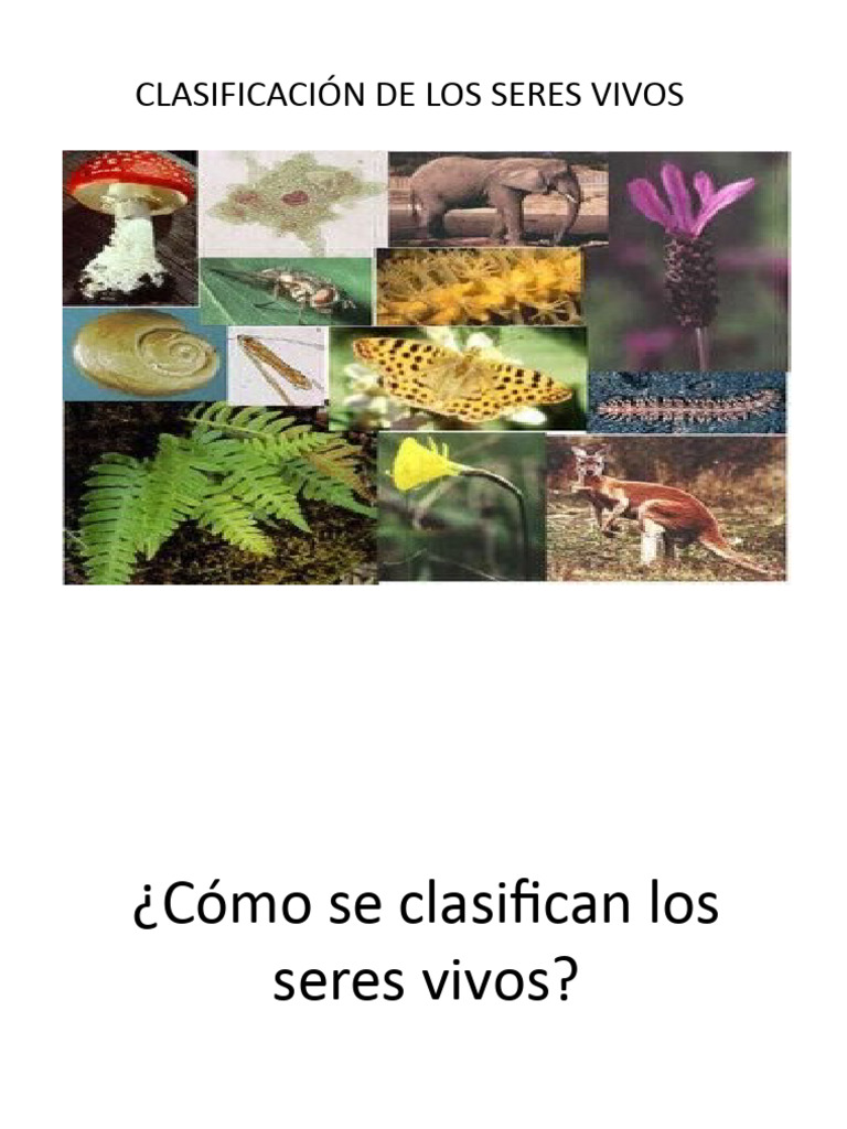 CLASIFICACIÓN DE LOS SERES VIVOS | PDF | Eucariotas | Biología Celular)