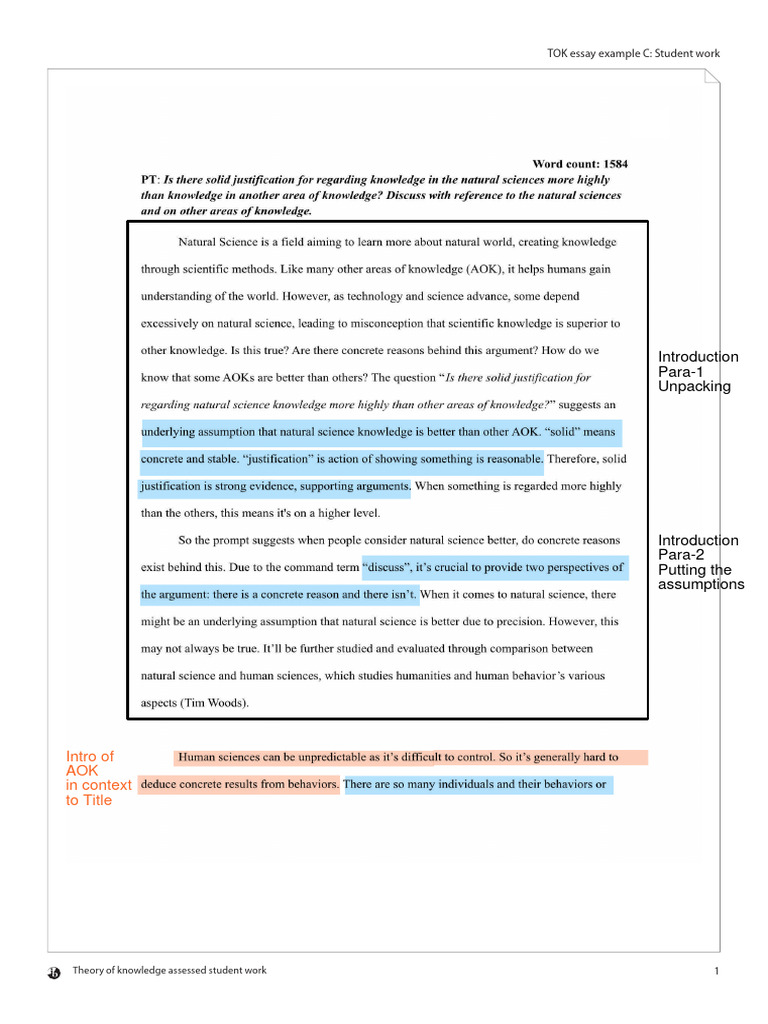 Grade A Essay - Annotated | PDF