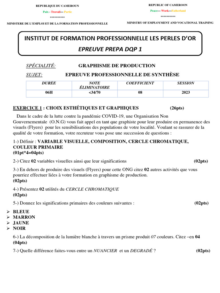 Épreuves DQP Graphisme 2023 Cameroun | PDF | Ordinateurs