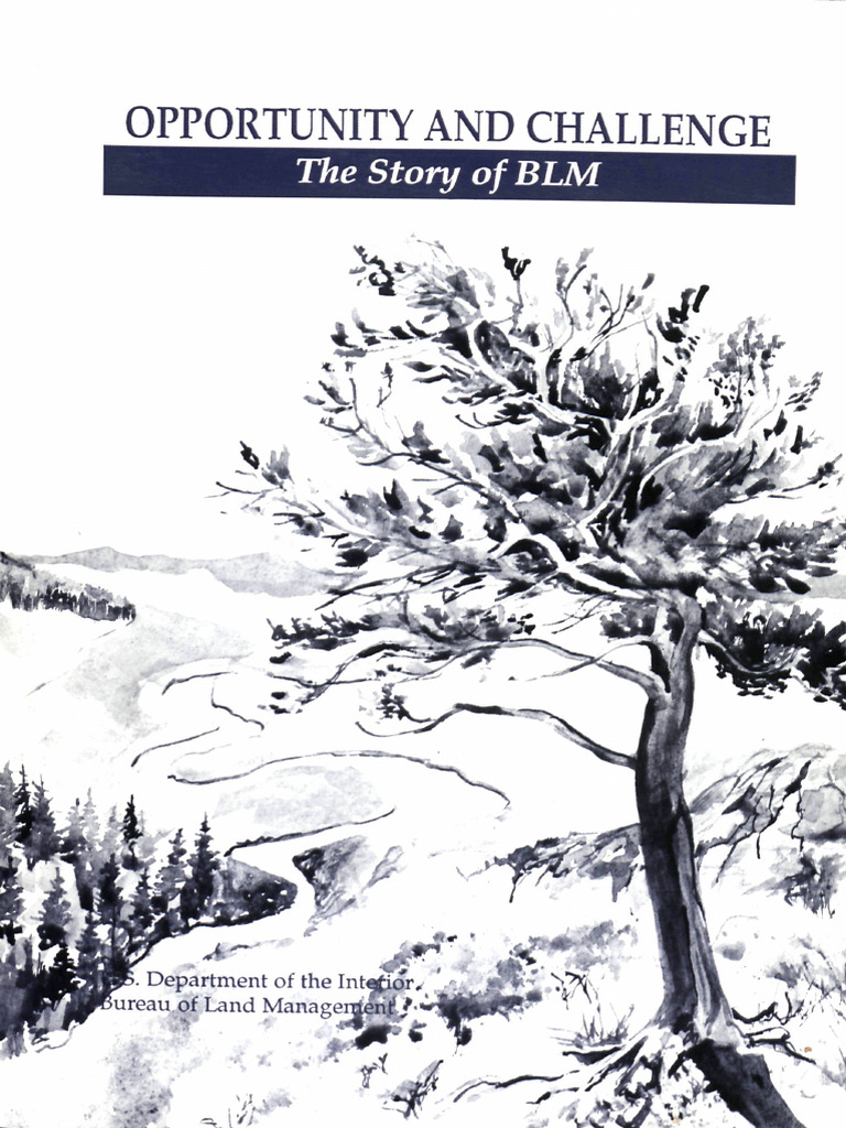 Opportunity and Challenge - The Story of BLM | PDF