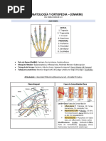 Ejercicios Pendulares de Codman | PDF | Salud y bienestar