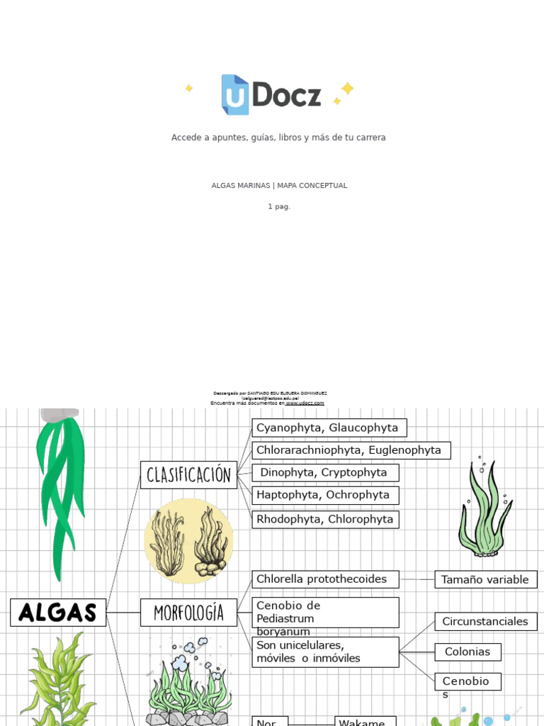 Algas Marinas Mapa c 232248 Downloadable 4206043 | PDF