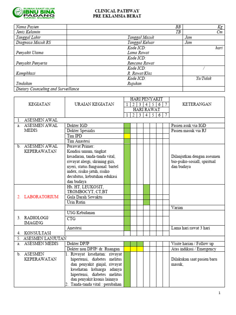 Panduan Pre Eklamsia Berat | PDF
