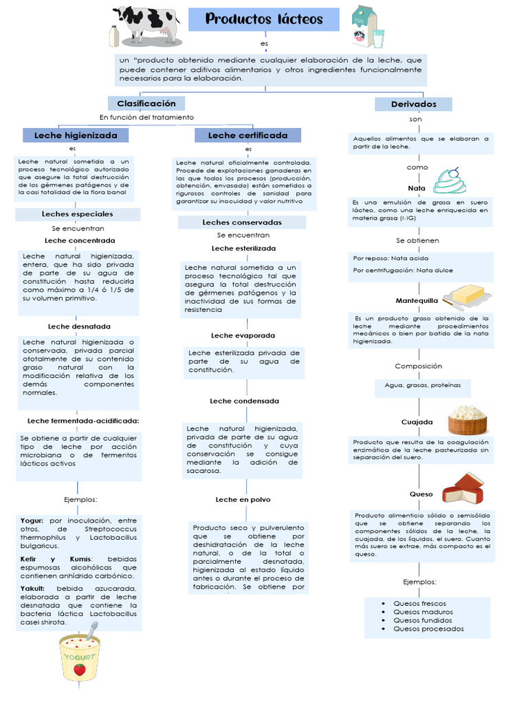 Mapa Conceptual. Derivados Lacteos | PDF | Leche | Productos lácteos