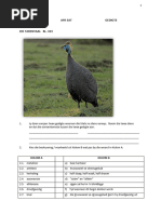 Poësie - Harlekyn Van Die Dieretuin Memorandum | PDF